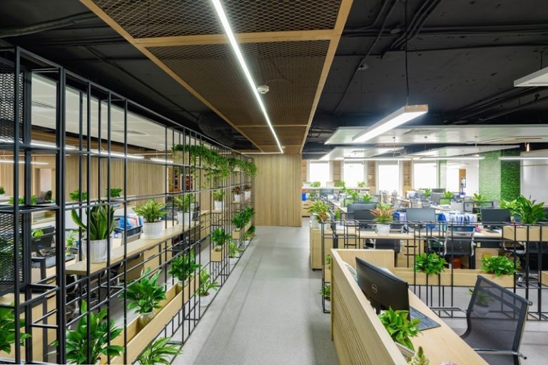 What is a Green Office? Characteristics and Benefits