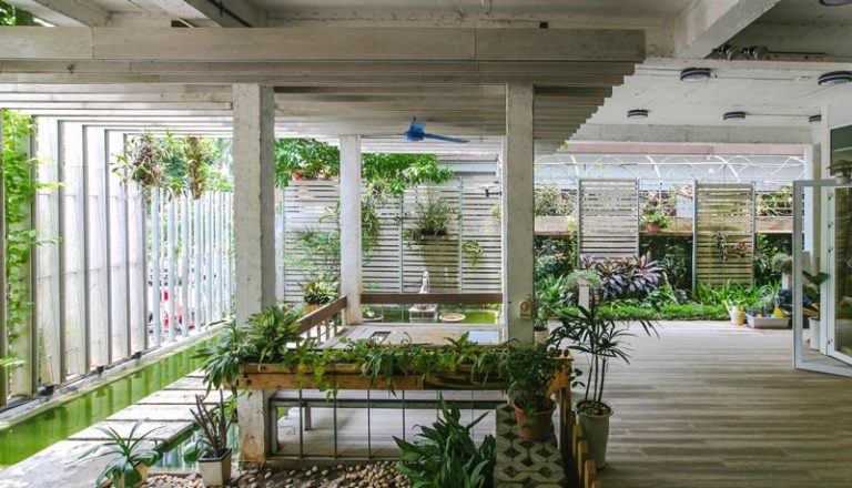 What is a Green Office? Characteristics and Benefits