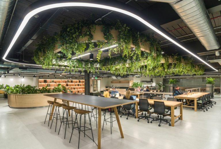 What is a corporate office? Popular types of offices