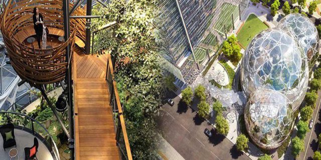 Khám phá các văn phòng làm việc của Amazon - Maison Office