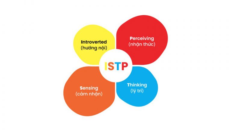 ISTP là gì? Đặc điểm nhóm tính cách The Crafter - Nhà kỹ thuật