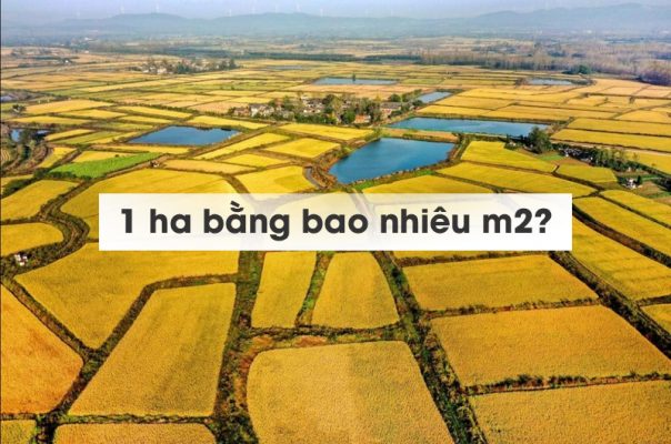 1ha bằng bao nhiêu m2, bao nhiêu km2, bao nhiêu sào, mẫu?